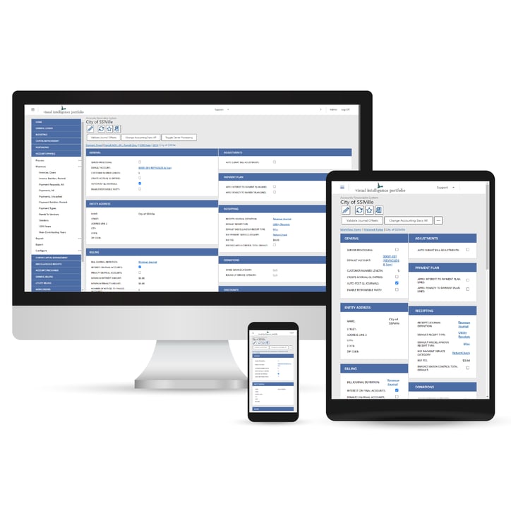 Financial Software Solutions for Government Enterprises
