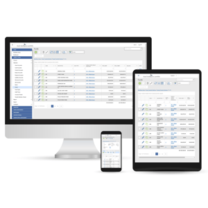 Financial Software Solutions for Government Enterprises